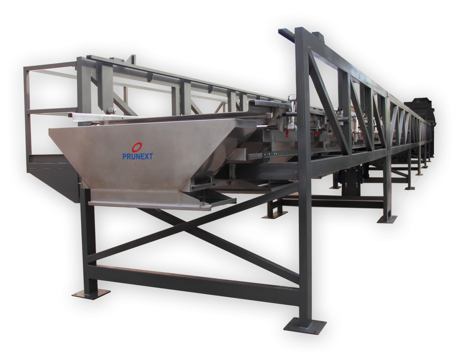 Línea completa de descarozado de ciruelas – Prune/date pitting machine x64